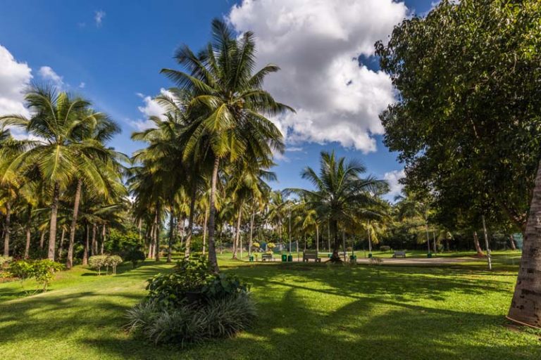 Jindal Naturecure Institute, Bengaluru | Gallery